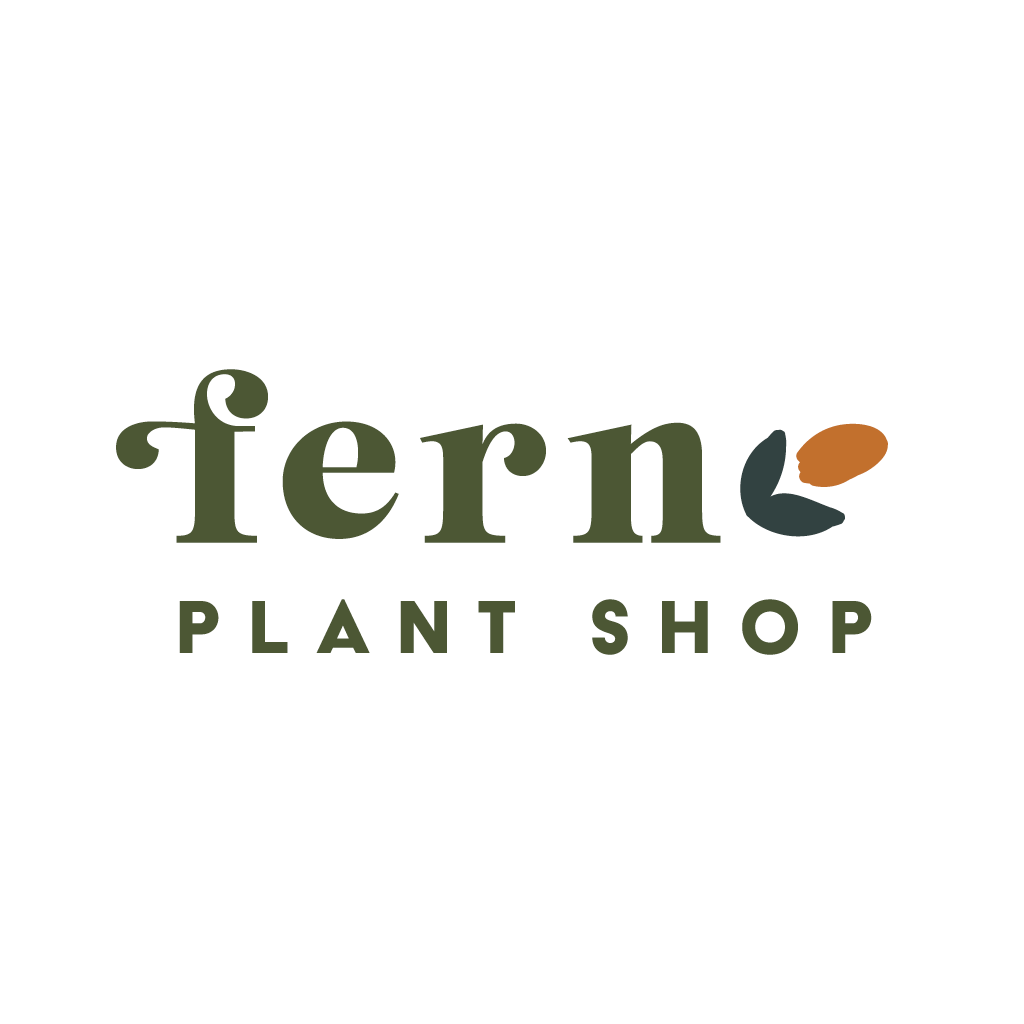 Fern is now two locations – FernPlantShop