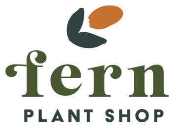 Fern Plant Shop in Coeur d'Alene, ID – FernPlantShop